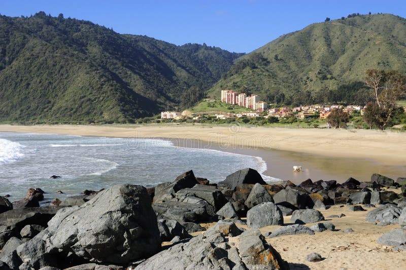 Costa de Chile stock photo. Image of animals, condo, sand - 18157544