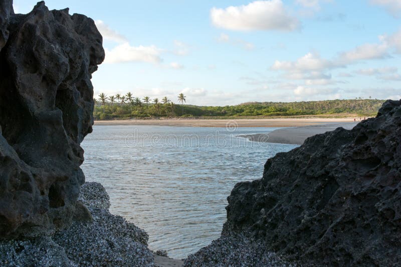 Costa Costa Del Brasil De Nordeste Foto de archivo - Imagen de orilla ...