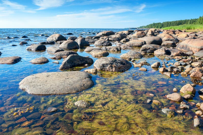 Costa Del Mar Baltico L'Estonia Fotografia Stock - Immagine di spiaggia ...