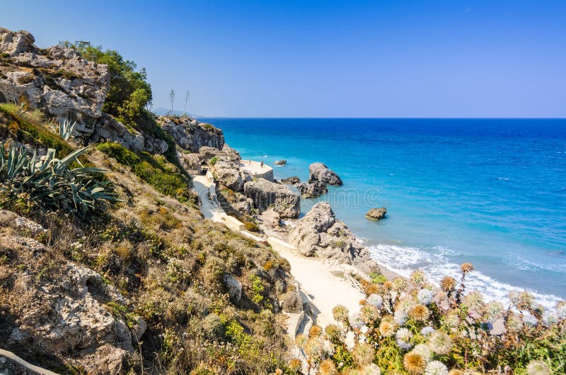 Costa di mare di Rodi immagine stock. Immagine di pianta - 59601677