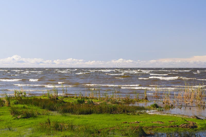 Costa do lago Peipus imagem de stock. Imagem de céu, lingüeta - 12482933
