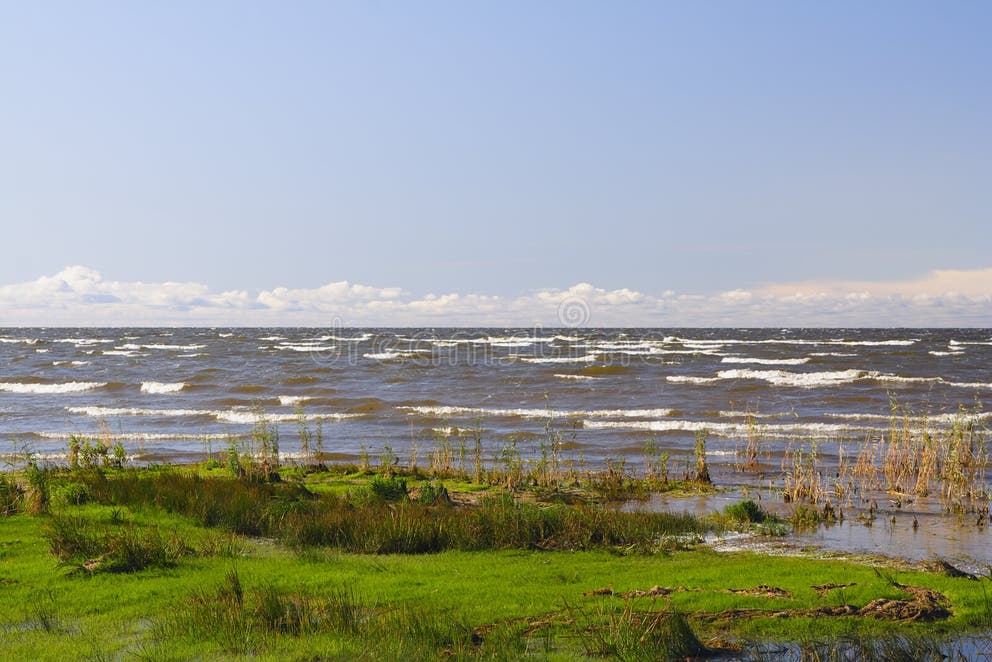 Costa do lago Peipus imagem de stock. Imagem de céu, lingüeta - 12482933