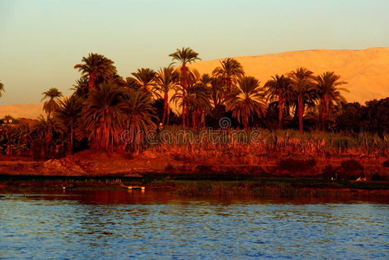 Costa Do Nilo Com As Palmas De Data Na Luz De Nivelamento Vermelha ...