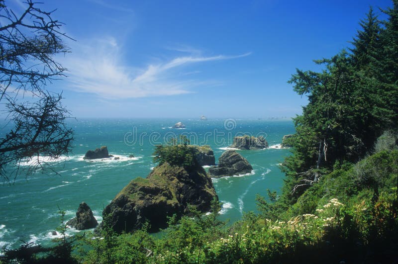 Costa E Linha Costeira De Oregon Foto de Stock - Imagem de rochas ...