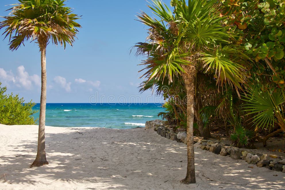 Costa mexicana imagen de archivo. Imagen de costa, arena - 83024381