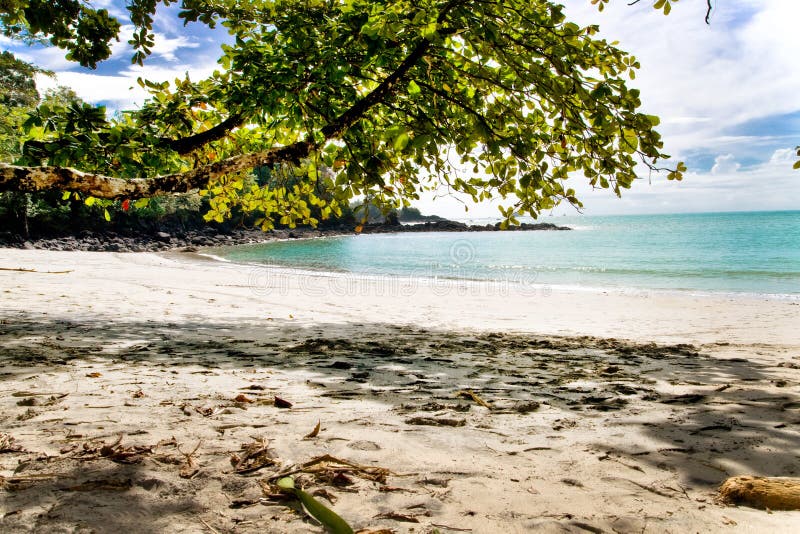 Costa Rica Beach Front stock image. Image of caribbean - 20969683