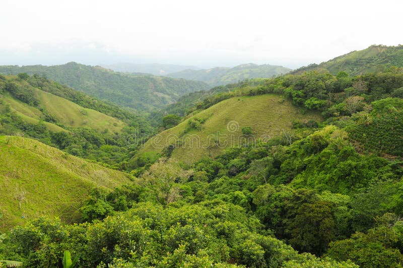 Countryside of Costa Rica stock photo. Image of landscape - 8356352