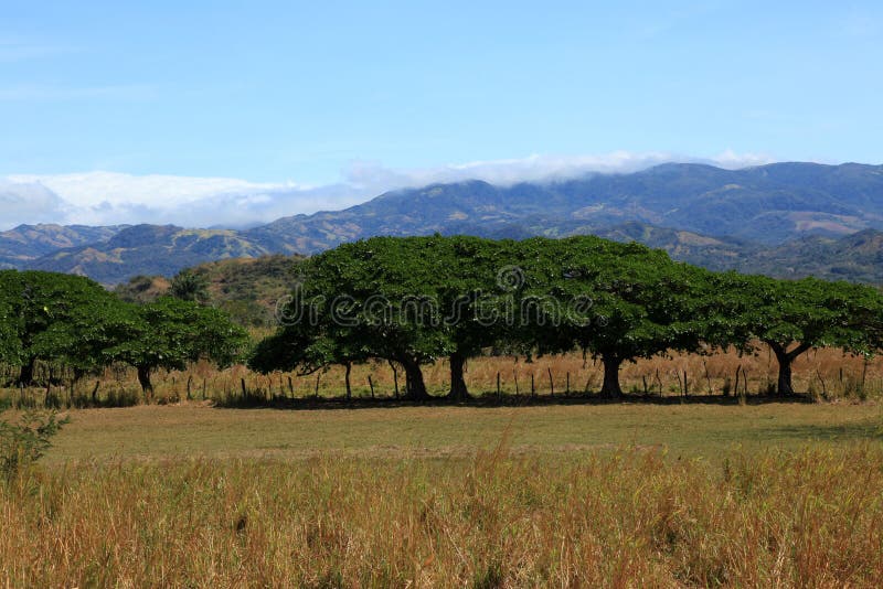Costa Rican countryside stock image. Image of mountain - 66857313