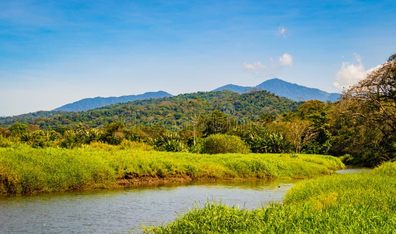 Costa Rican landscape stock photo. Image of green, river - 270006458