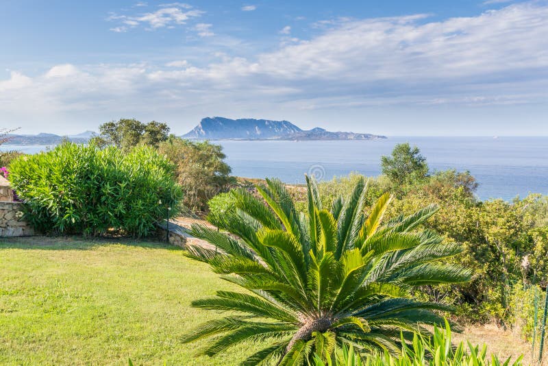 The costline in Sardinia stock image. Image of clear - 68842787