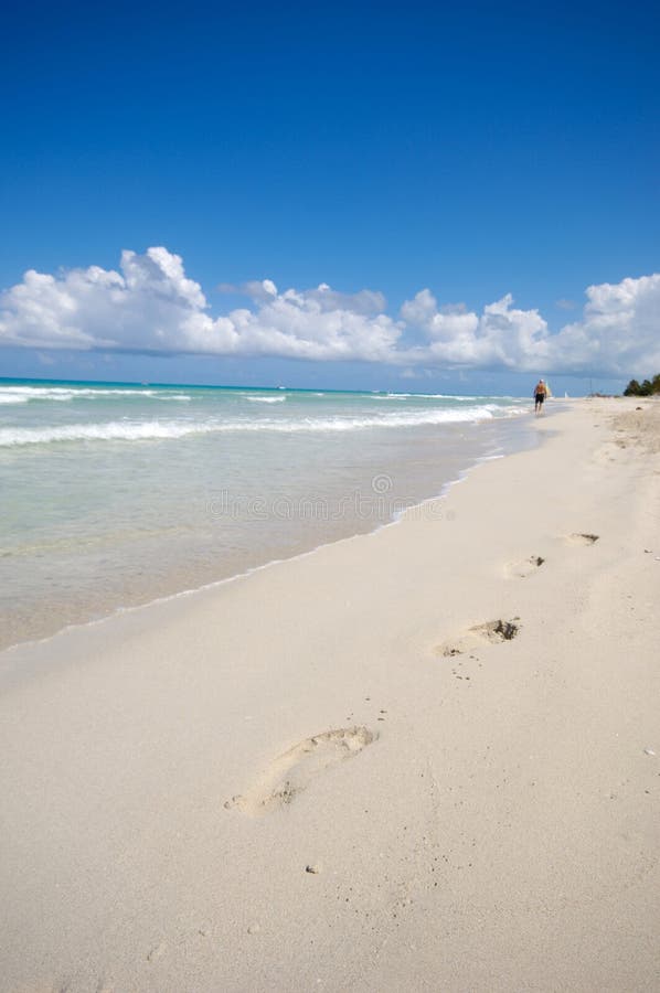 Costline at tropical beach stock photo. Image of relaxation - 354739538