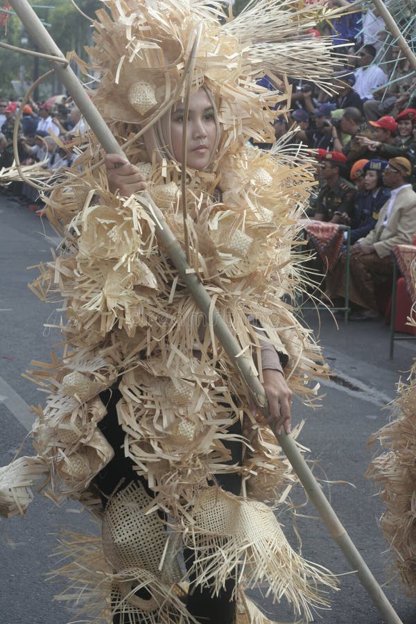 Costume Made of Bamboo into Carnival Editorial Stock Image - Image of ...
