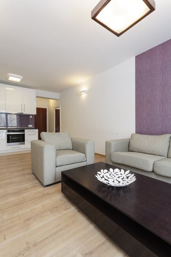 Cosy flat - living room stock photo. Image of furnishing - 30454154