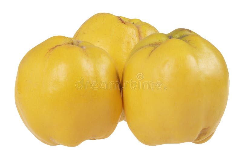 Ostruzione da una cotogna immagine stock. Immagine di dolce - 18297237