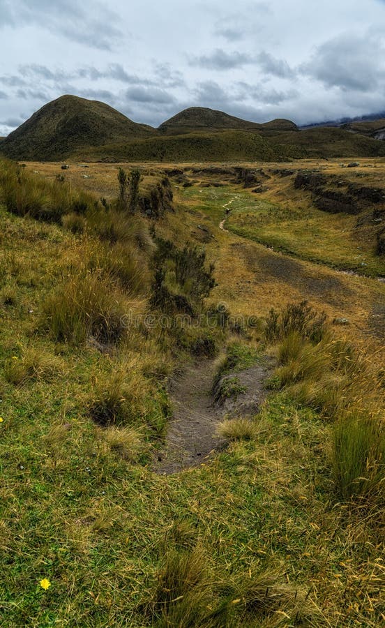Cotopaxi National Park, Ecuador Stock Photo - Image of highlands ...