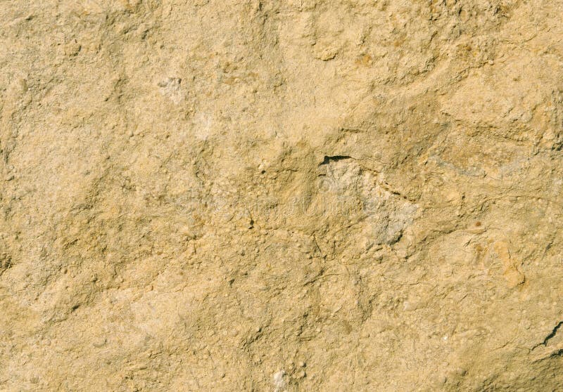 Cotswold Limestone stock image. Image of fossils, grains - 14608837