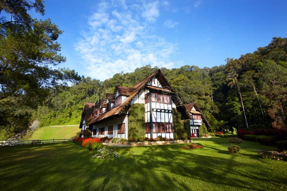 684,989 Cottage Kitties Stock Photos - Free & Royalty-Free Stock Photos ...