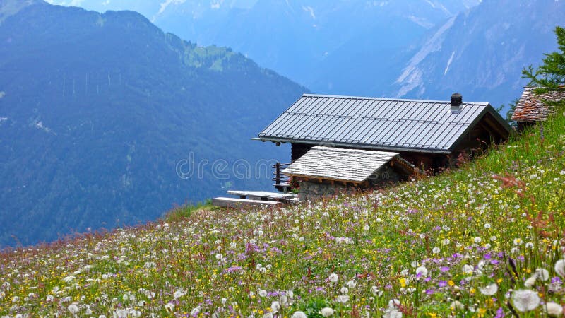 Cottage in the Alpine stock photo. Image of clouds, forest - 19368844