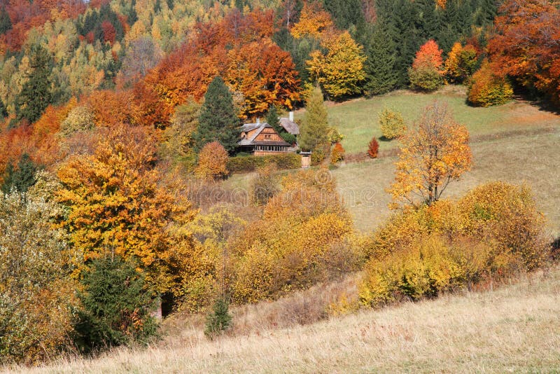 Cottage in autumn stock image. Image of foliage, bright - 28566879
