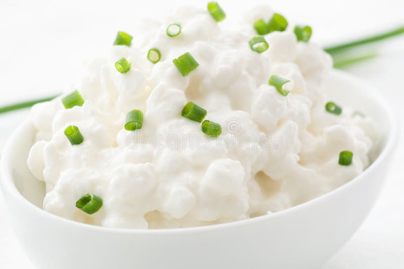 Cottage Cheese stock image. Image of feast, dish, frais - 17530011