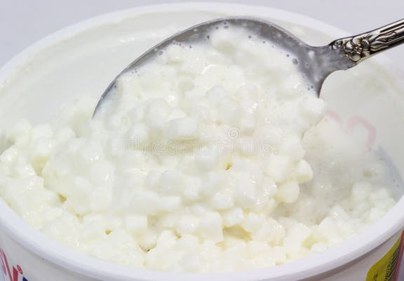 Cottage Cheese stock photo. Image of dairy, clumps, ingredient - 19373162