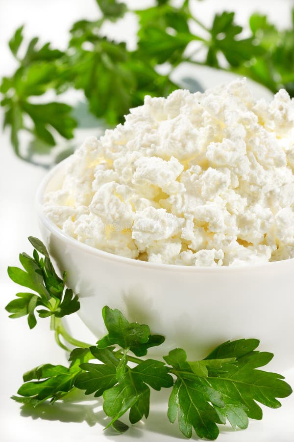 Cottage Cheese stock image. Image of fresh, rolls, domestic - 19591887