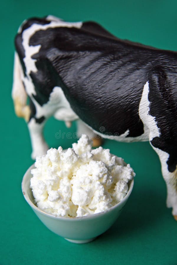 Cottage cheese stock photo. Image of cheese, cottage - 22573758
