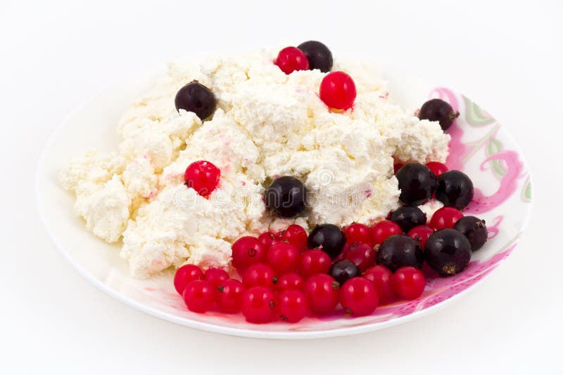 Cottage cheese stock image. Image of gourmet, blue, closeup - 24343117