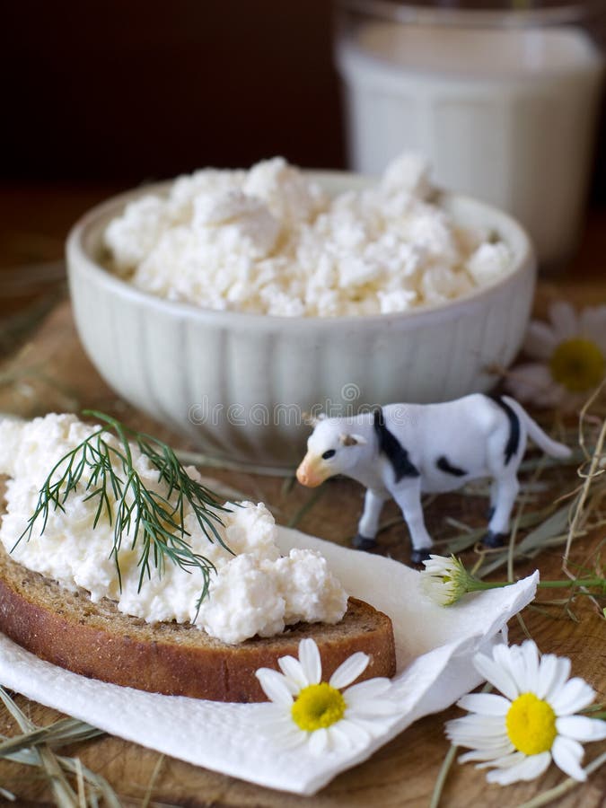 Cottage cheese and milk stock image. Image of brown, meal - 15709541