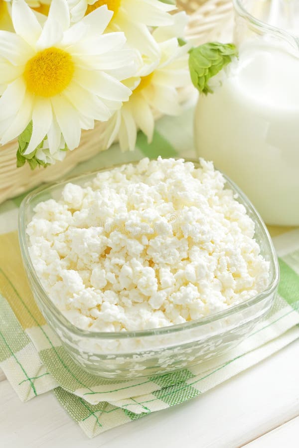 Cottage cheese and milk stock photo. Image of kitchen - 29425212
