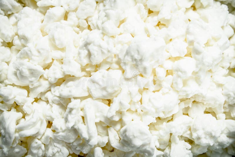 Cottage Cheese and Natural Cow Milk. Stock Image - Image of meal, lunch ...