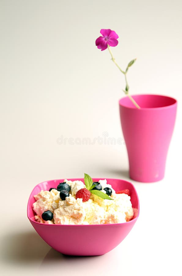 Cottage Cheese in Pink Plastic Bowl Decorated Mint and Berry. Stock ...