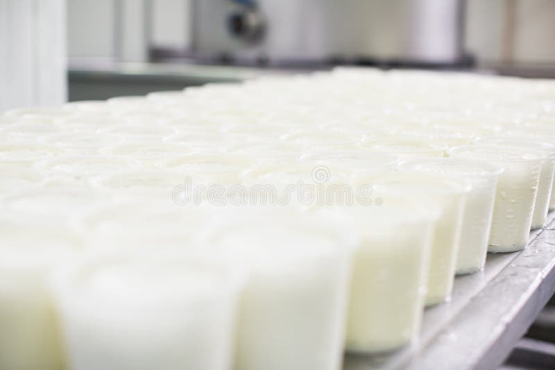 Cottage Cheese in Plastic Package Stock Photo - Image of manufacturing ...