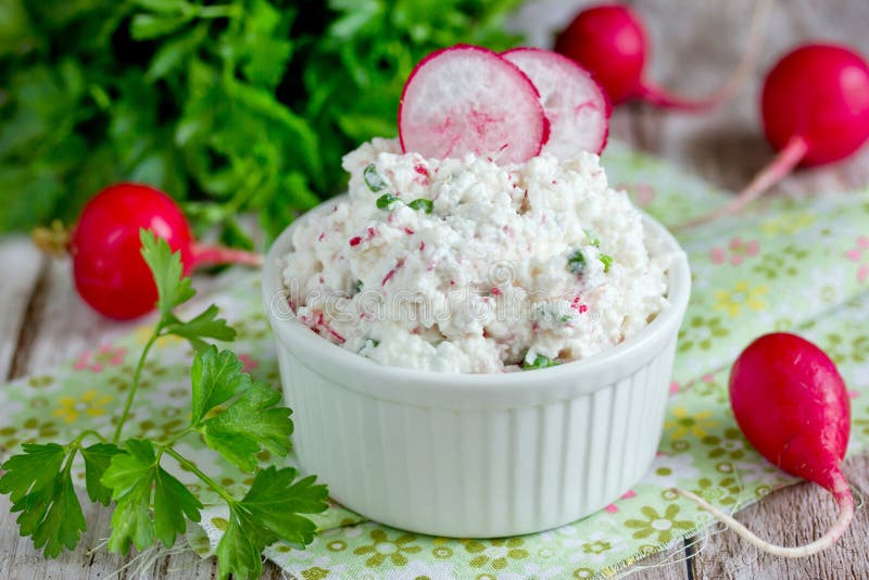 Cheese Radish Parsley Appetizer Stock Image - Image of breakfast, diet ...