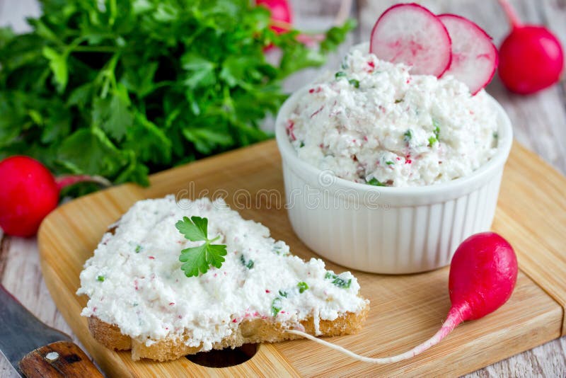 Cottage Cheese Radish Appetizer Stock Image - Image of food, herb ...
