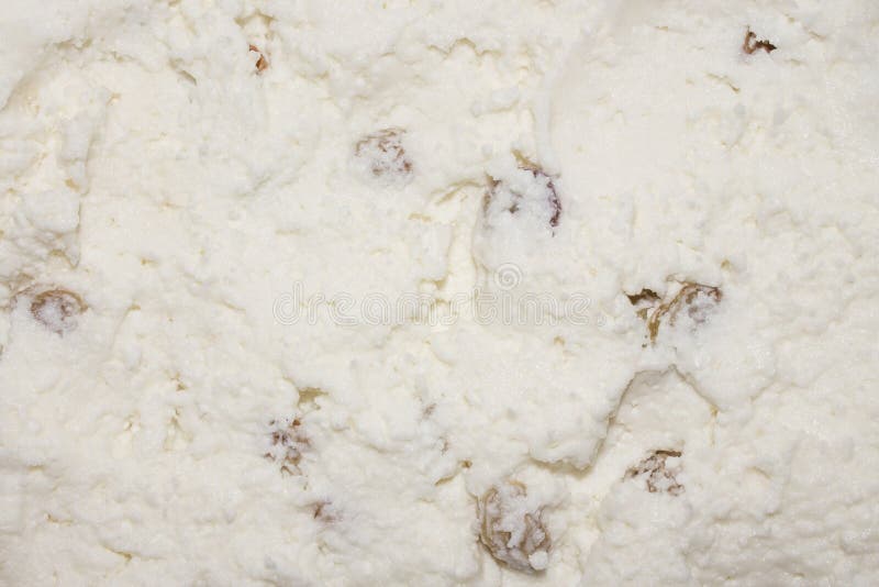 Cottage Cheese with Raisins.the Texture of Cottage Cheese Stock Image ...