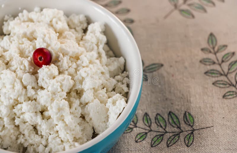 Cottage cheese stock image. Image of healthy, cottage - 46942217