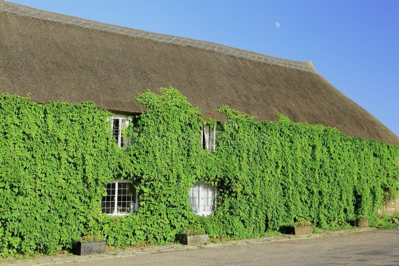 Cottage Covered with Grass on the Roof, Iceland Stock Image - Image of ...