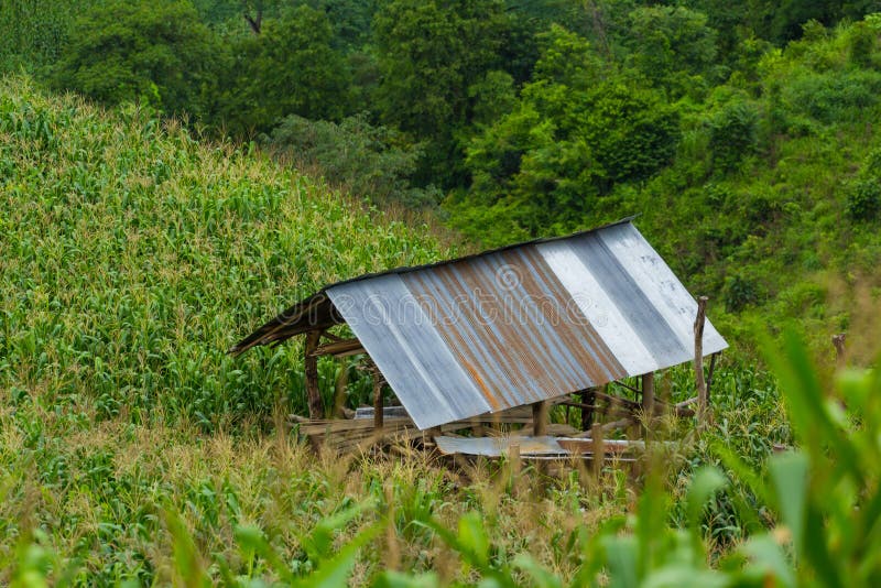 Cottage in Farm on Mountain Stock Image - Image of cottage ...