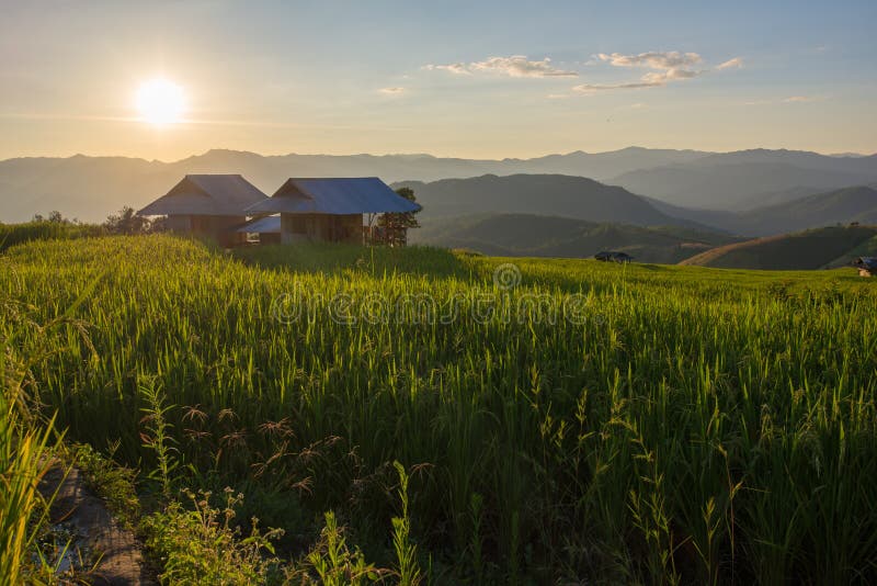 Cottage in the field stock photo. Image of food, blue - 78302820