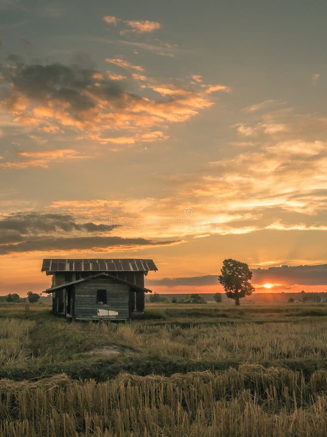 The farmer s cottage stock photo. Image of residential - 132740516