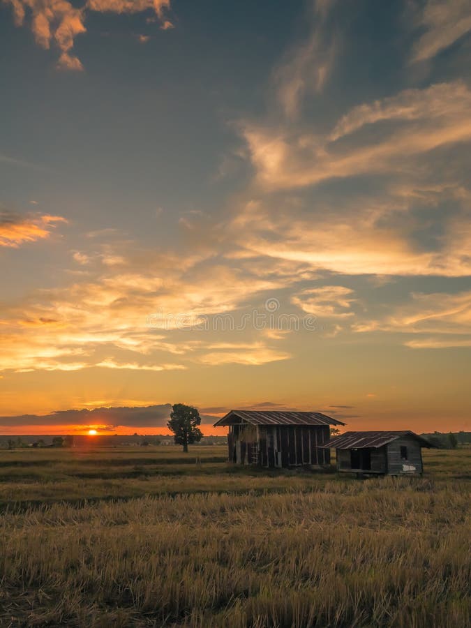 The farmer s cottage stock photo. Image of summer, season - 132740536