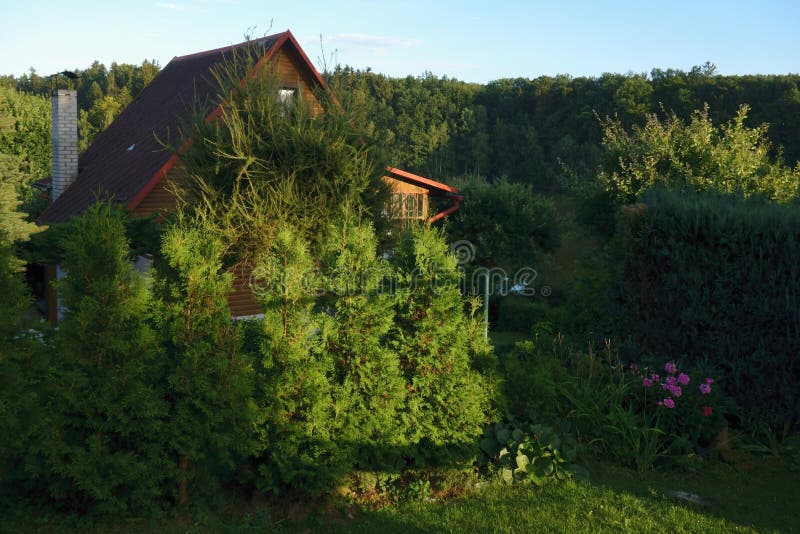 The cottage in the forest stock photo. Image of forest - 27950284