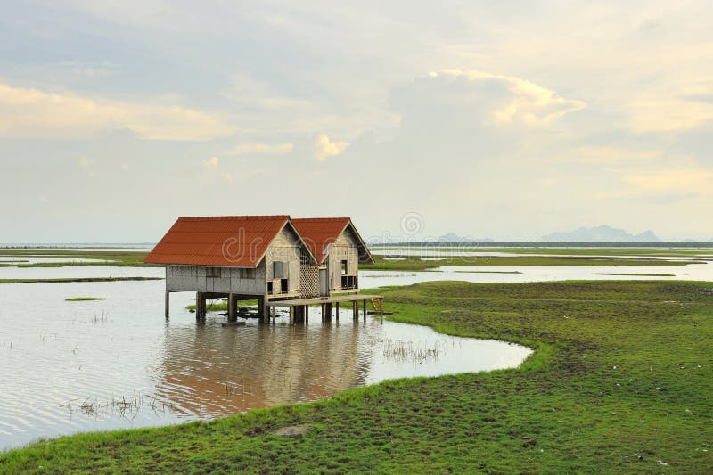 Cottage stock photo. Image of lake, cottage, cabin, wooden - 41670226