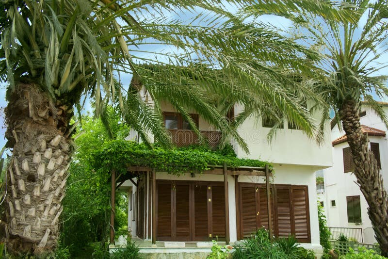 Cottage and palm trees stock photo. Image of natural - 50812254