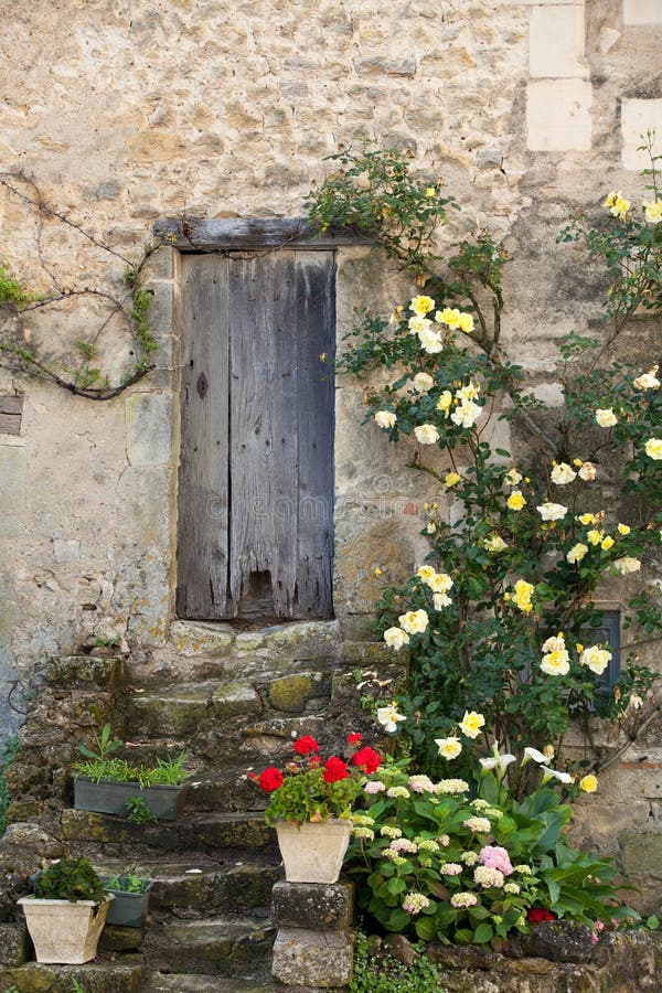 Cottage with roses stock image. Image of cottage, fashioned - 39801319