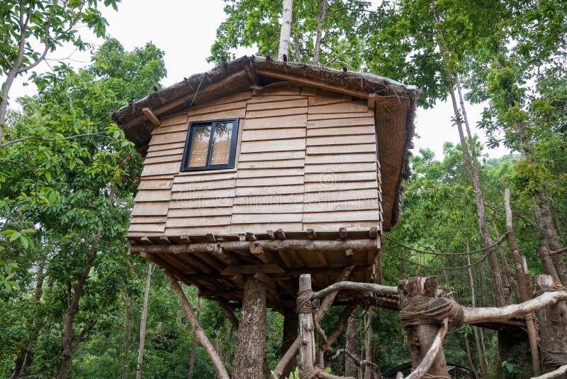 Cottage Style Tree House in the Middle of the Forest Stock Photo ...