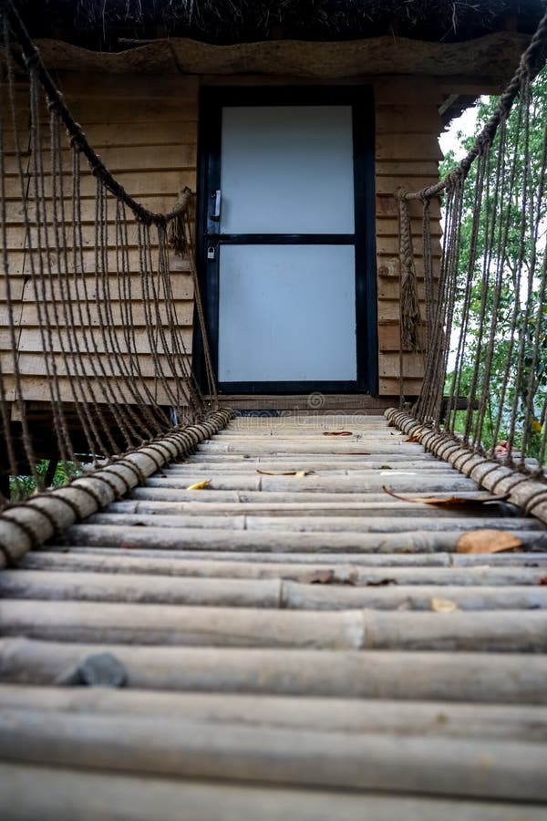 Cottage Style Tree House in the Middle of the Forest Stock Photo ...