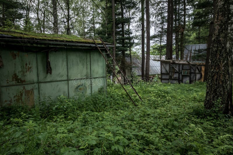 Cottages in an Abandoned Resort in the Middle of the Forest Stock Photo ...