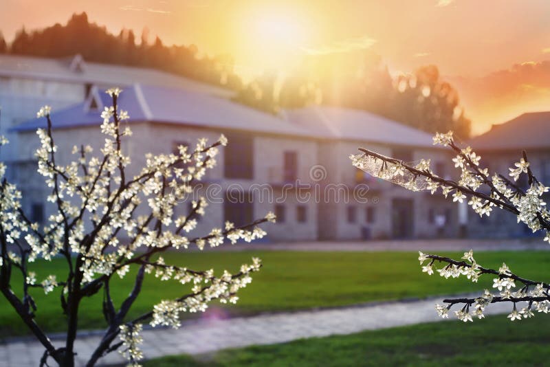 Cottages in spring stock photo. Image of home, garden - 22803560
